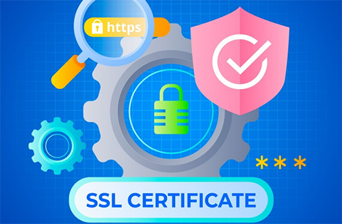 SSL证书域名解析怎么操作？附操作流程-SSL证书申请指南网